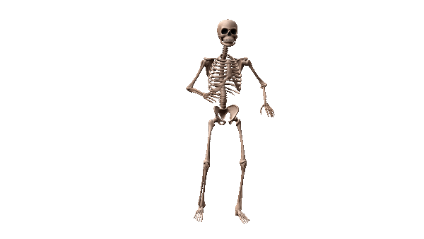 Transparent GIF: How to make a GIF transparent